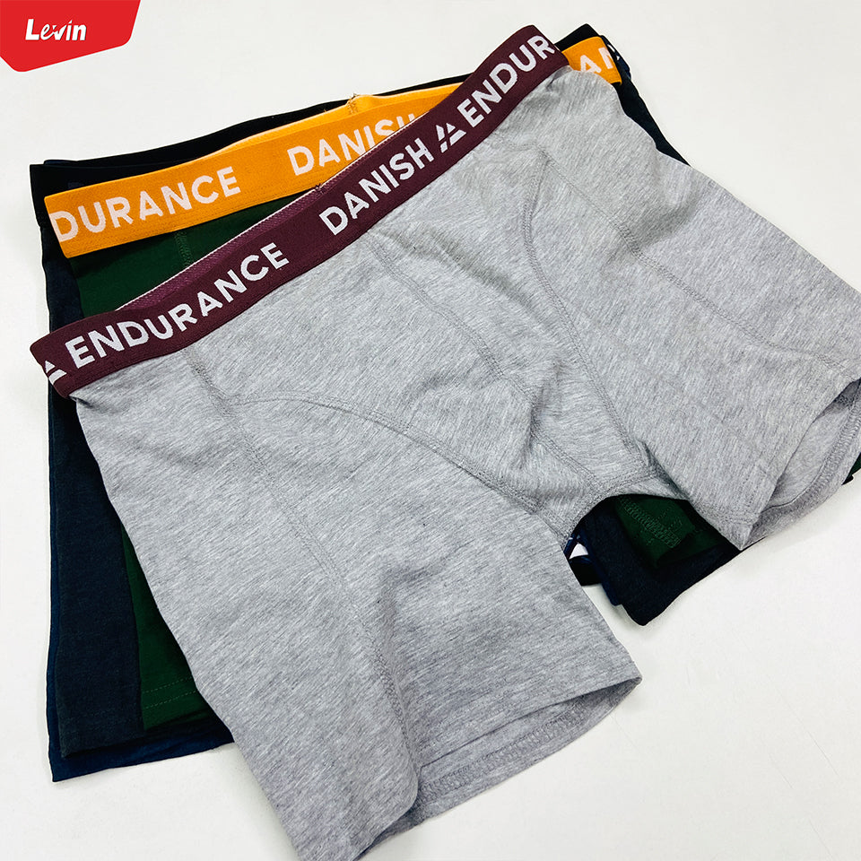 Levin - Perfection of Regular Life