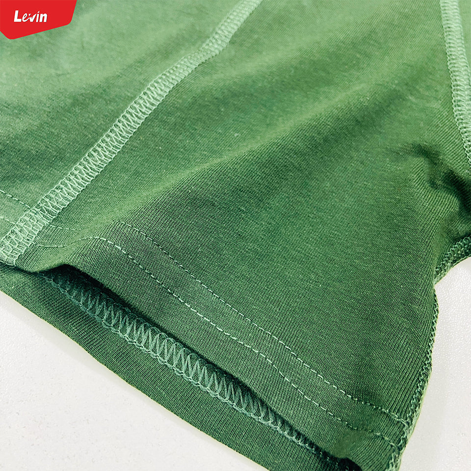 Levin - Perfection of Regular Life