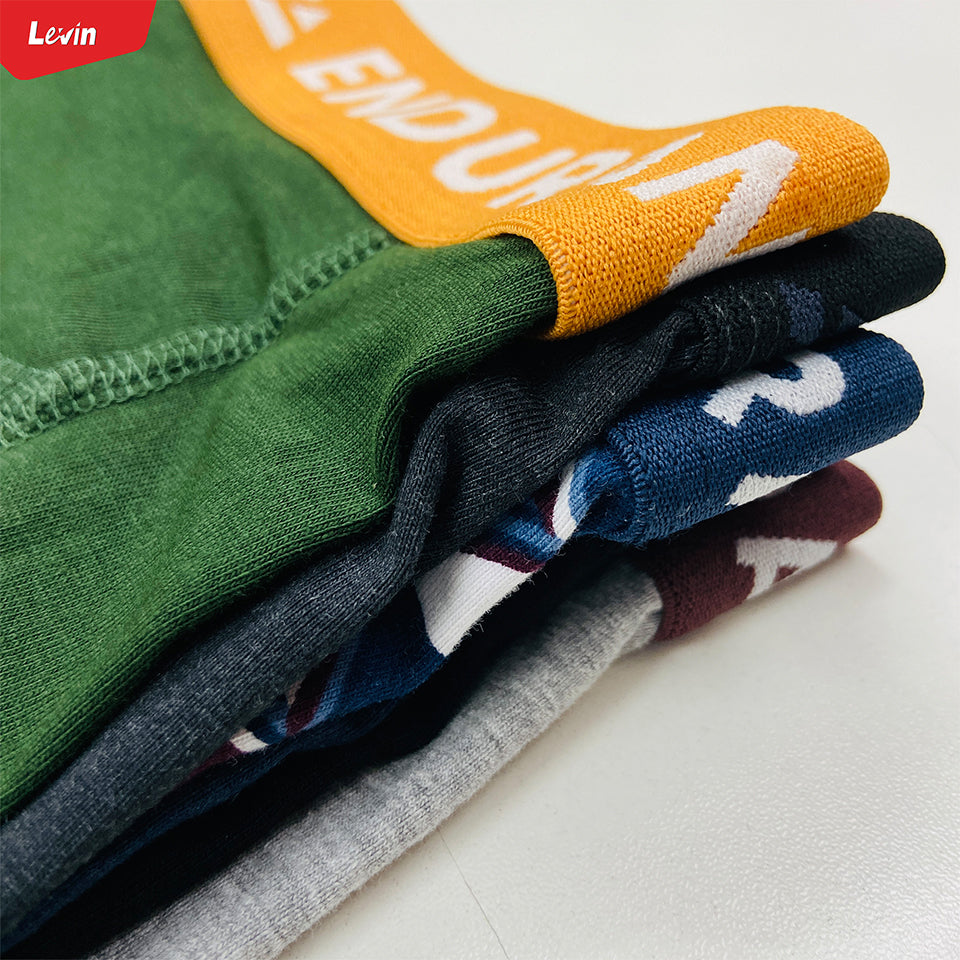 Levin - Perfection of Regular Life