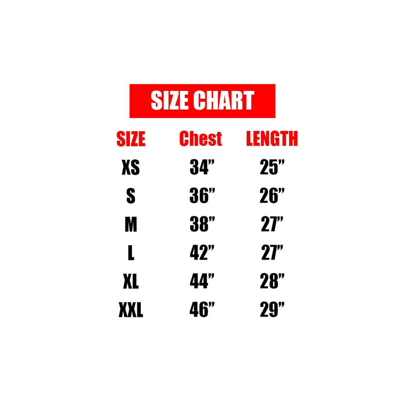 Levin - Perfection of Regular Life